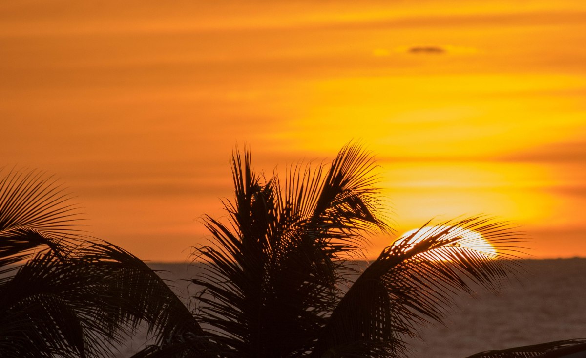 The Colors of St. Kitts & Nevis